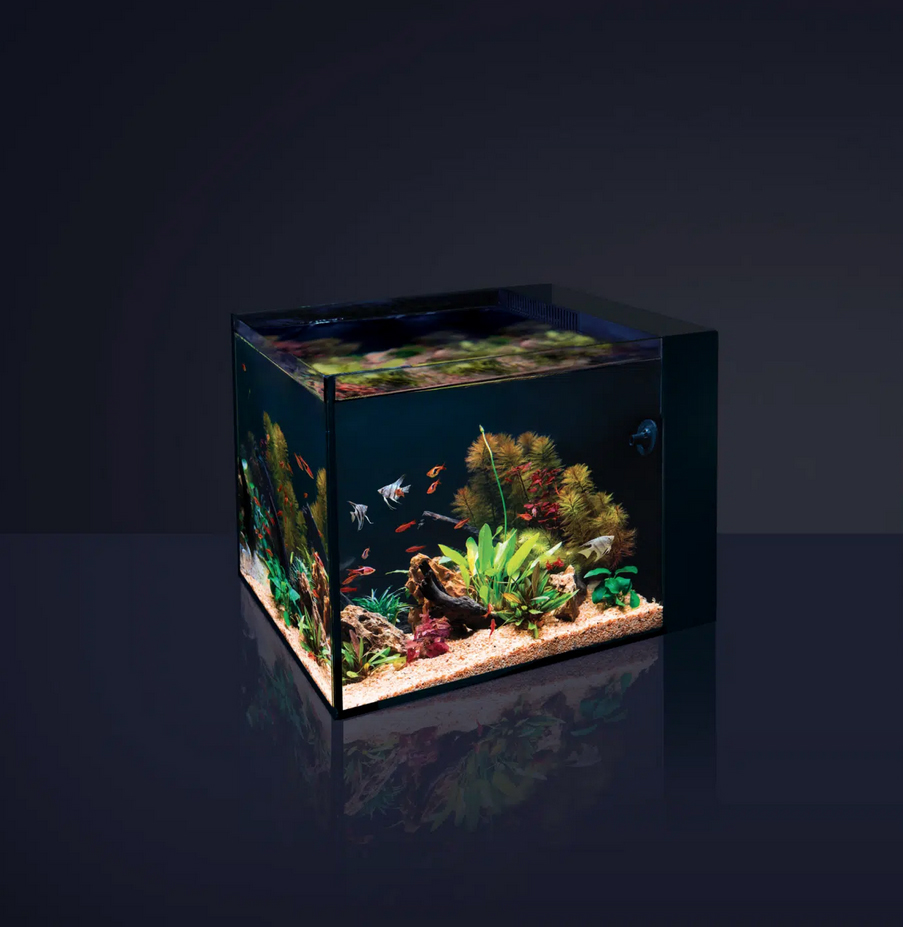 Des nouveaux bacs nano chez Red Sea : Desktop - Aqua News