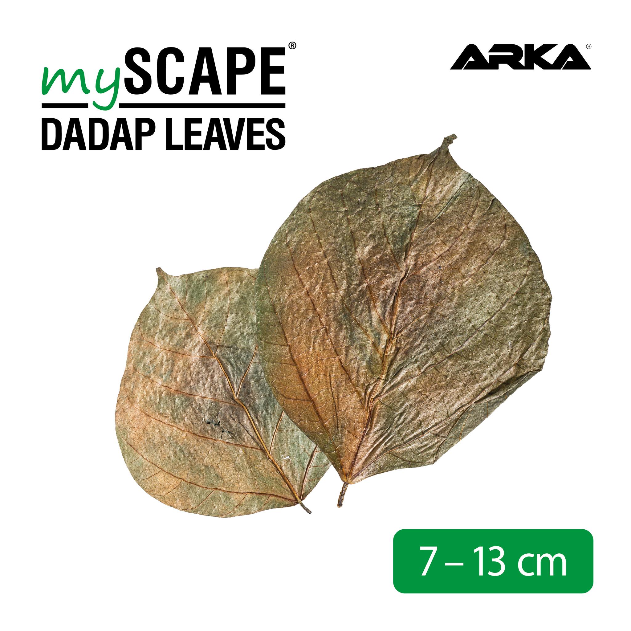 Feuilles et fruits Arka pour vos aquariums - Aqua News